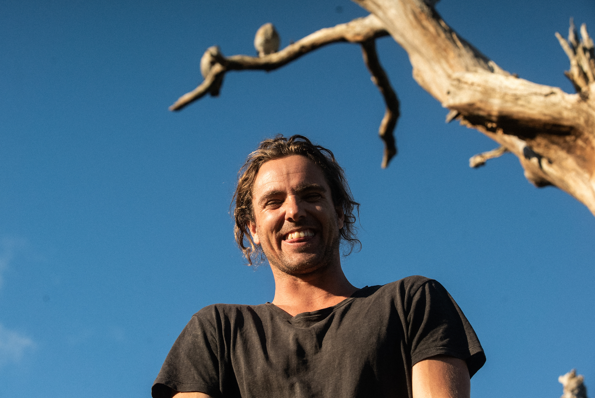 Sean Koch | Selection